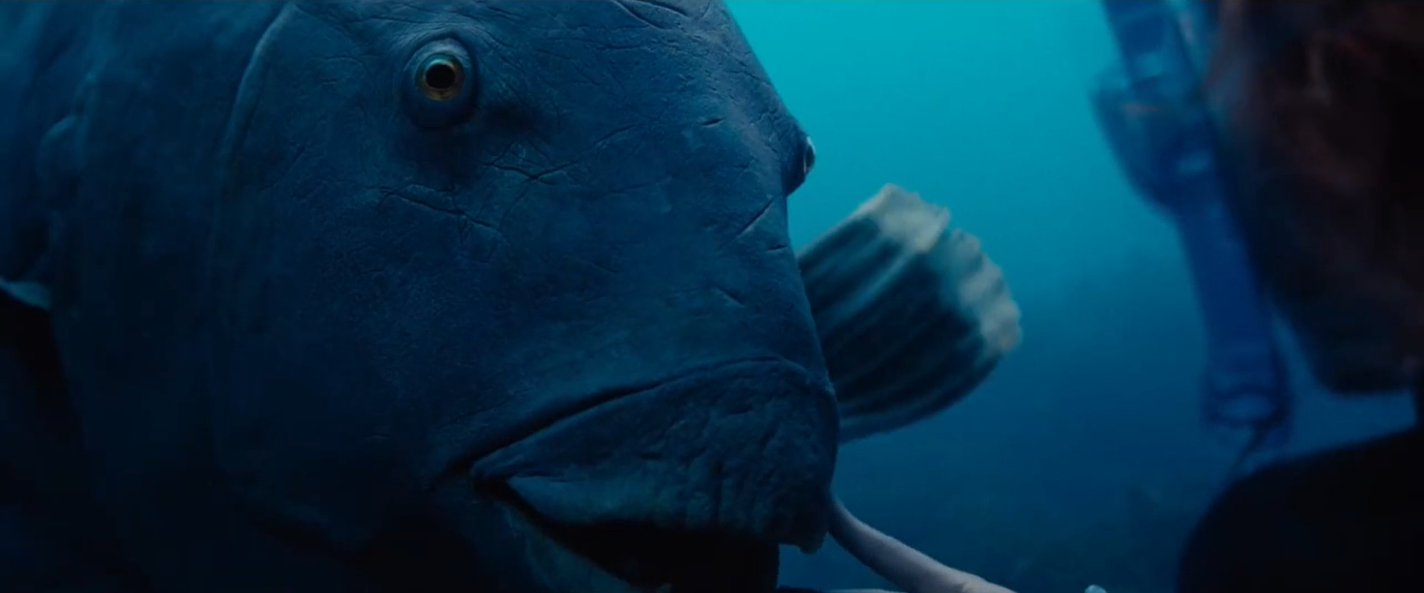 Blueback - Creature Technology